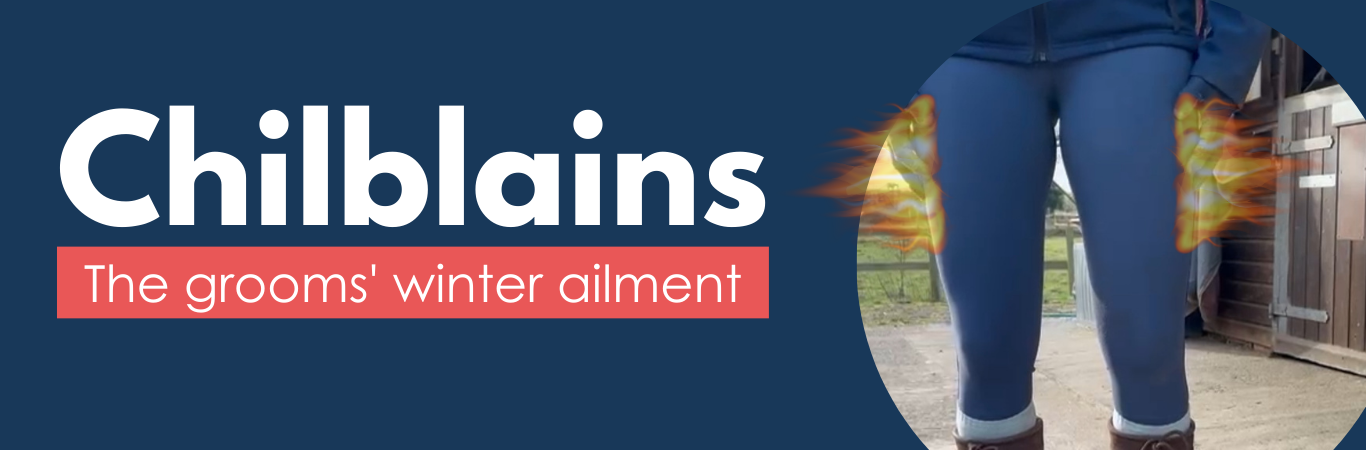 British Grooms Association (BGA) | Grooms get chilblains