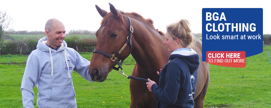 British Groom Association
